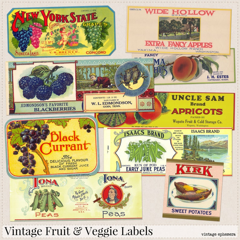 Digital Vintage Fruit & Veggie Labels Printable Ephemera for Scrapping ...