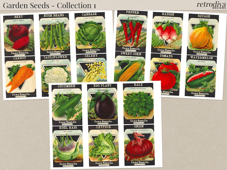 Garden Seeds - Junk Journal Printable - Vintage Printable Digital Seed ...