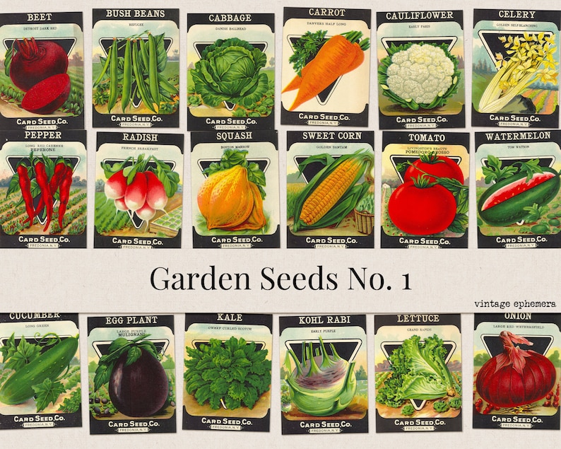 Garden Seeds - Junk Journal Printable - Vintage Printable Digital Seed ...