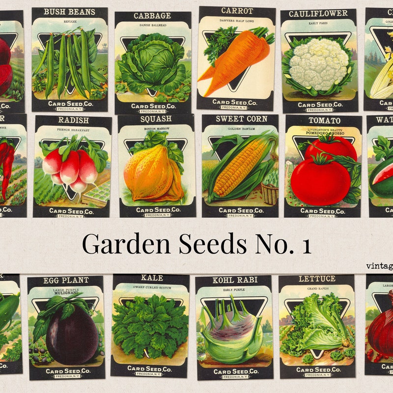 Vintage Seed Packets - Etsy