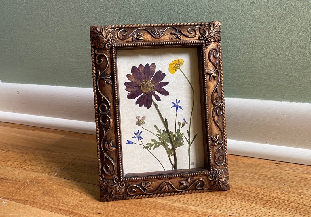 Framed Pressed Flower Art Real Flowers on White Paper in Brown Bronze ...