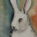 Portrait of a White Rabbit Fine Art Bunny Print - Etsy