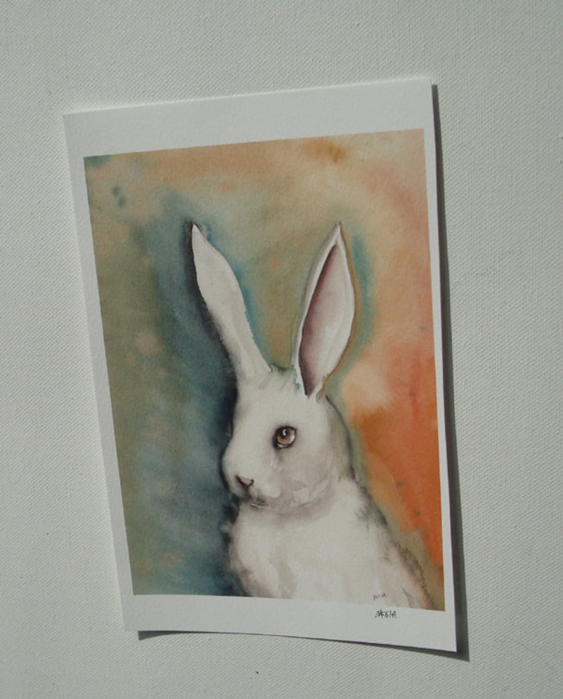 Portrait of a White Rabbit Fine Art Bunny Print - Etsy