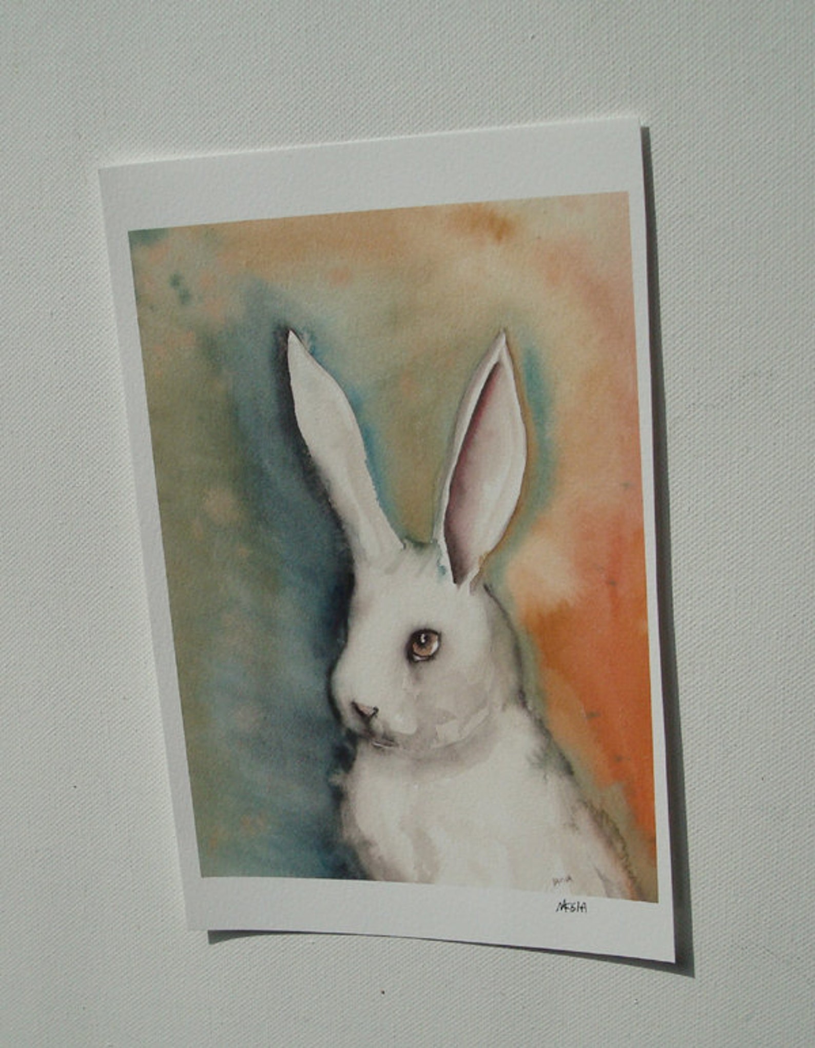 Portrait of a White Rabbit Fine Art Bunny Print - Etsy