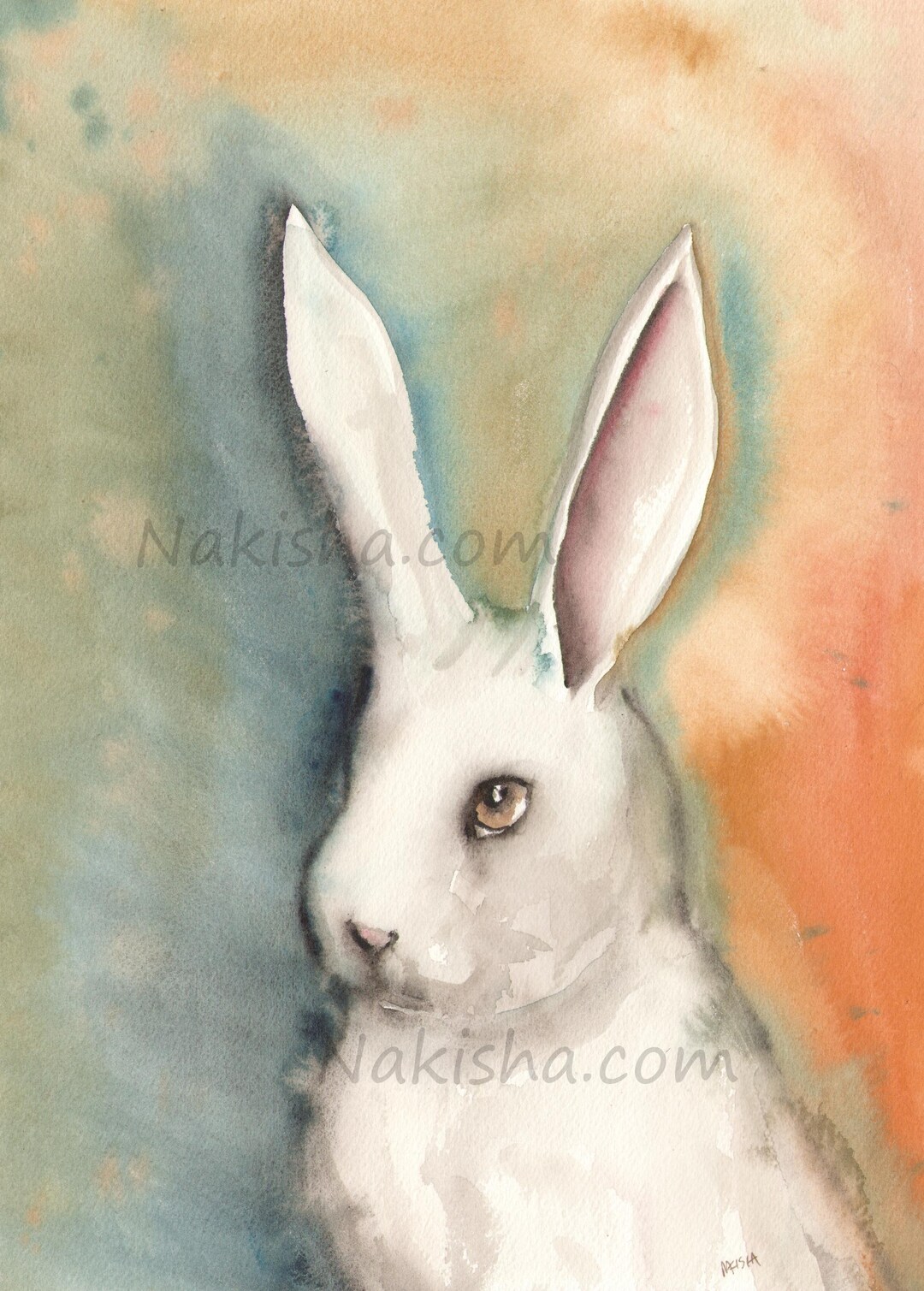 Portrait of a White Rabbit - Fine Art Bunny Print From Original ...