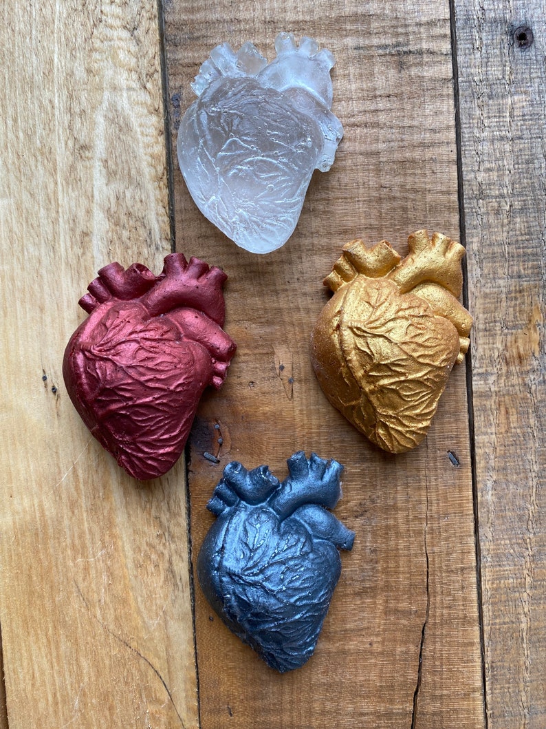 Anatomical Heart Resin CLEAR Anatomy | Crystal White Translucent ...
