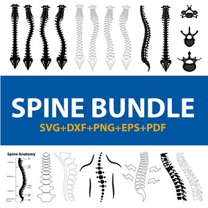Spine Svg Bundle, Human Spine Svg, Anatomy Spine, Physiotherapy Svg ...