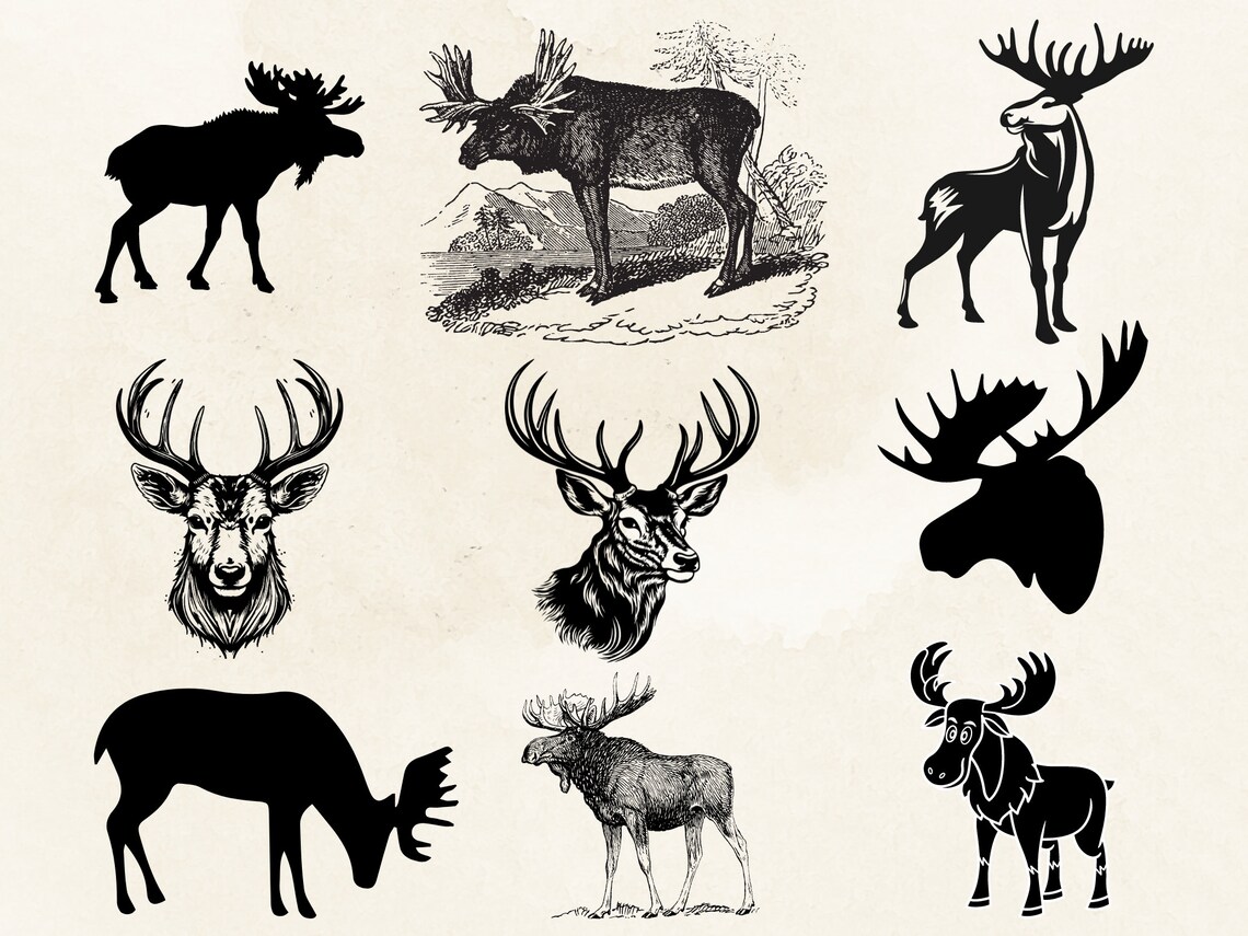 Moose Svg, Moose Bundle, Moose Clipart, Moose Png, Moose Cut Files for ...