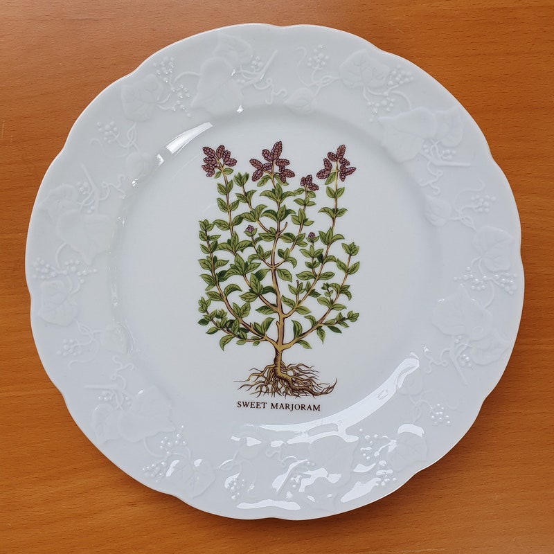 Botanical Plates - Etsy