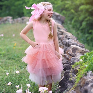 Pink Ombre Dress Long Pink Tutu Dress Pink Tutu Dress Birthday Dress ...