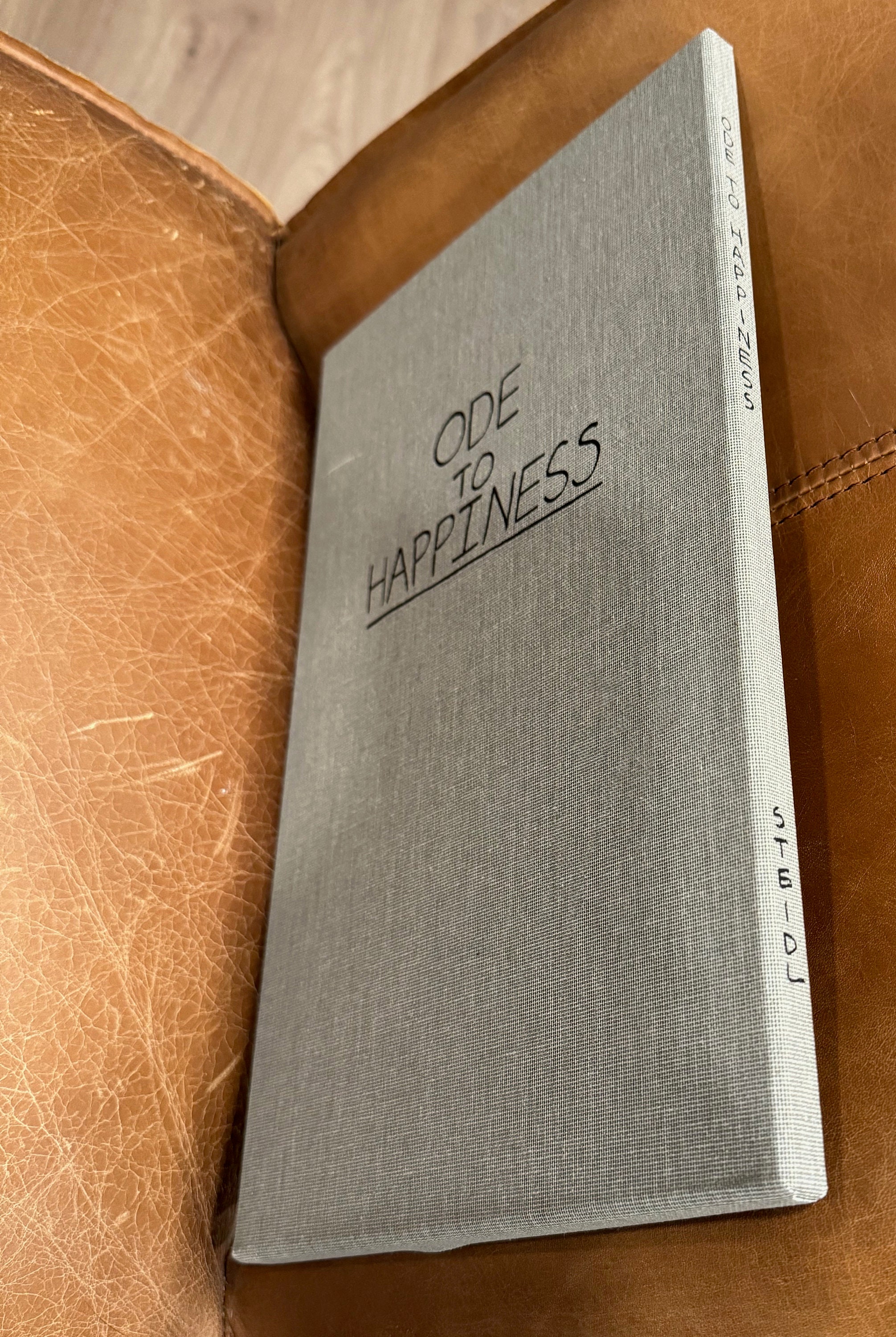 Ode to Happiness by Alexandra Grant and Keanu Reeves 2011 - Etsy