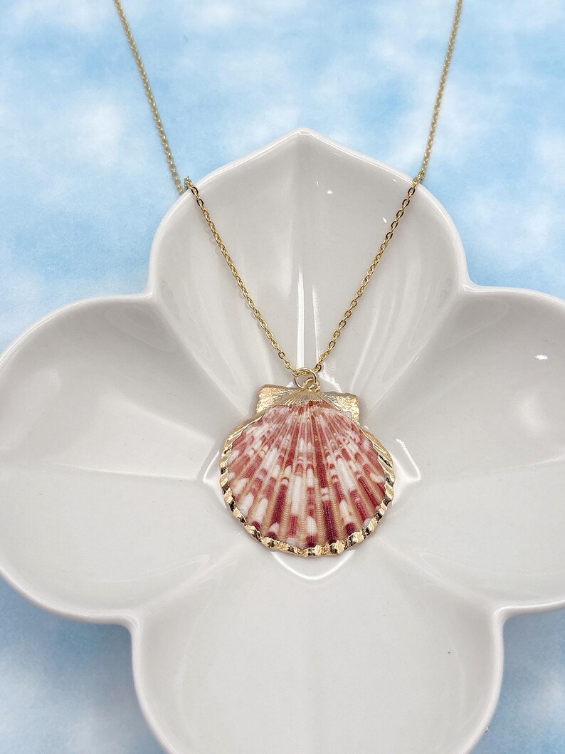 Real Natural Scallop Shell Pendant Necklace. Seashell Pendant Necklace ...