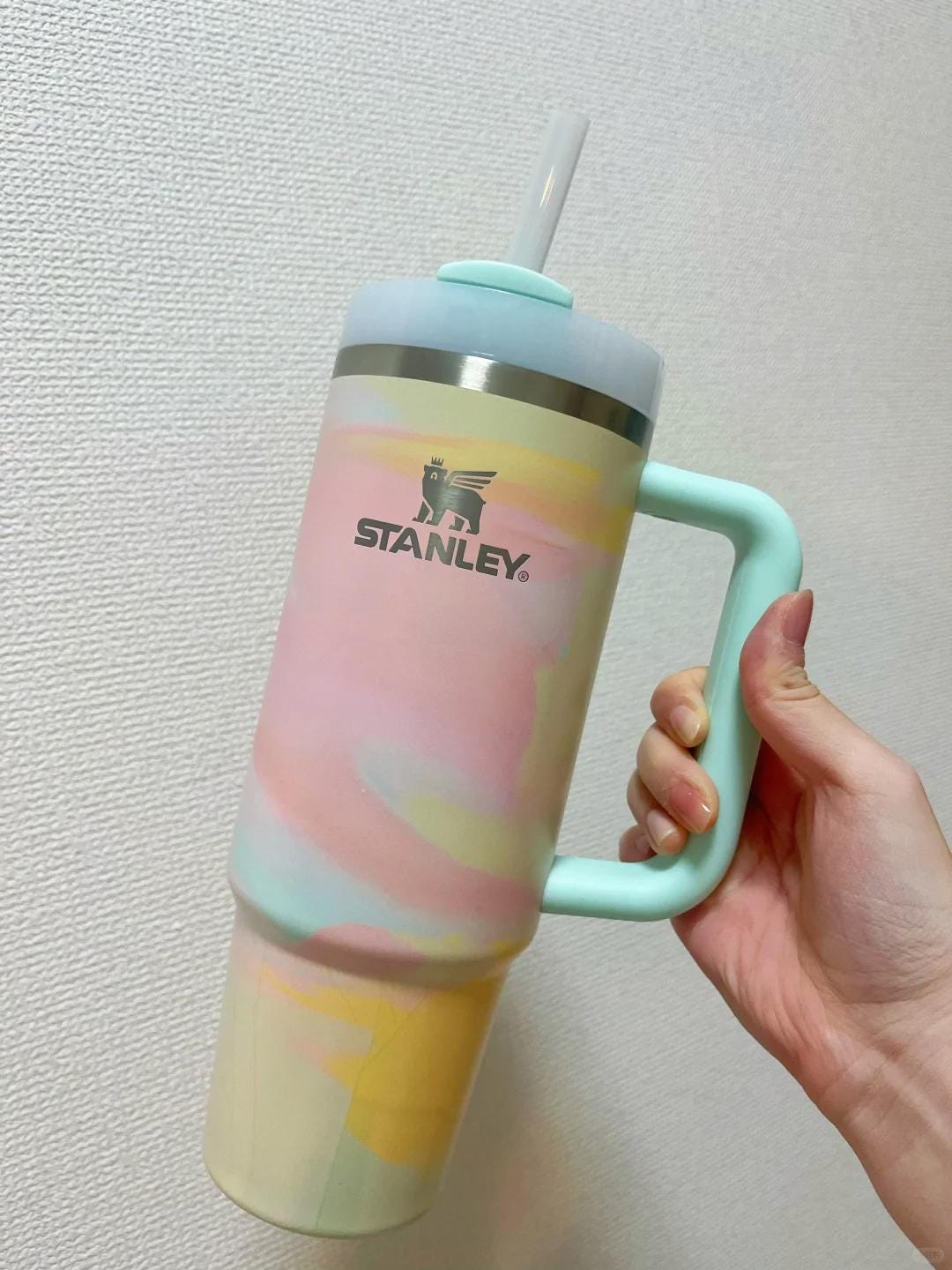Customizable Macaron Color Mix Stanley 40oz Cup/stanley Tumbler ...