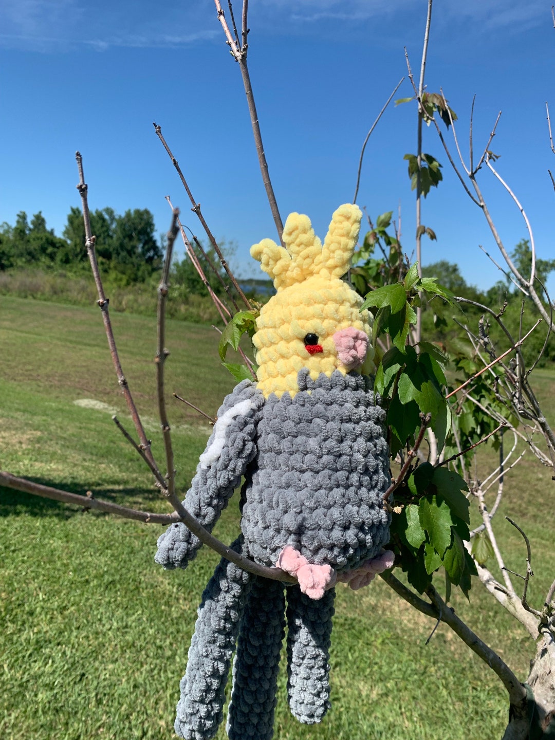 Adopt Your Cockatiel - Etsy