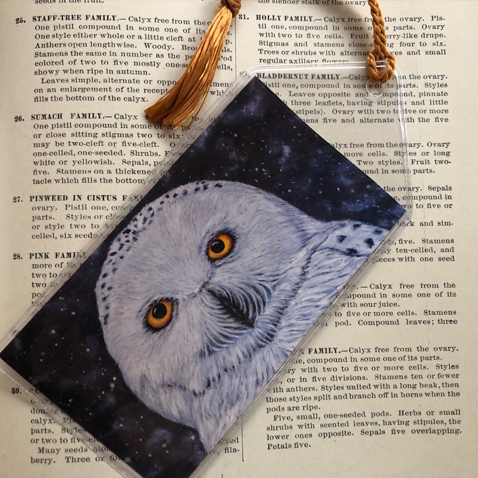 Snowy Owl Bookmark Owl Lovers Journal Bookmark Gift for - Etsy