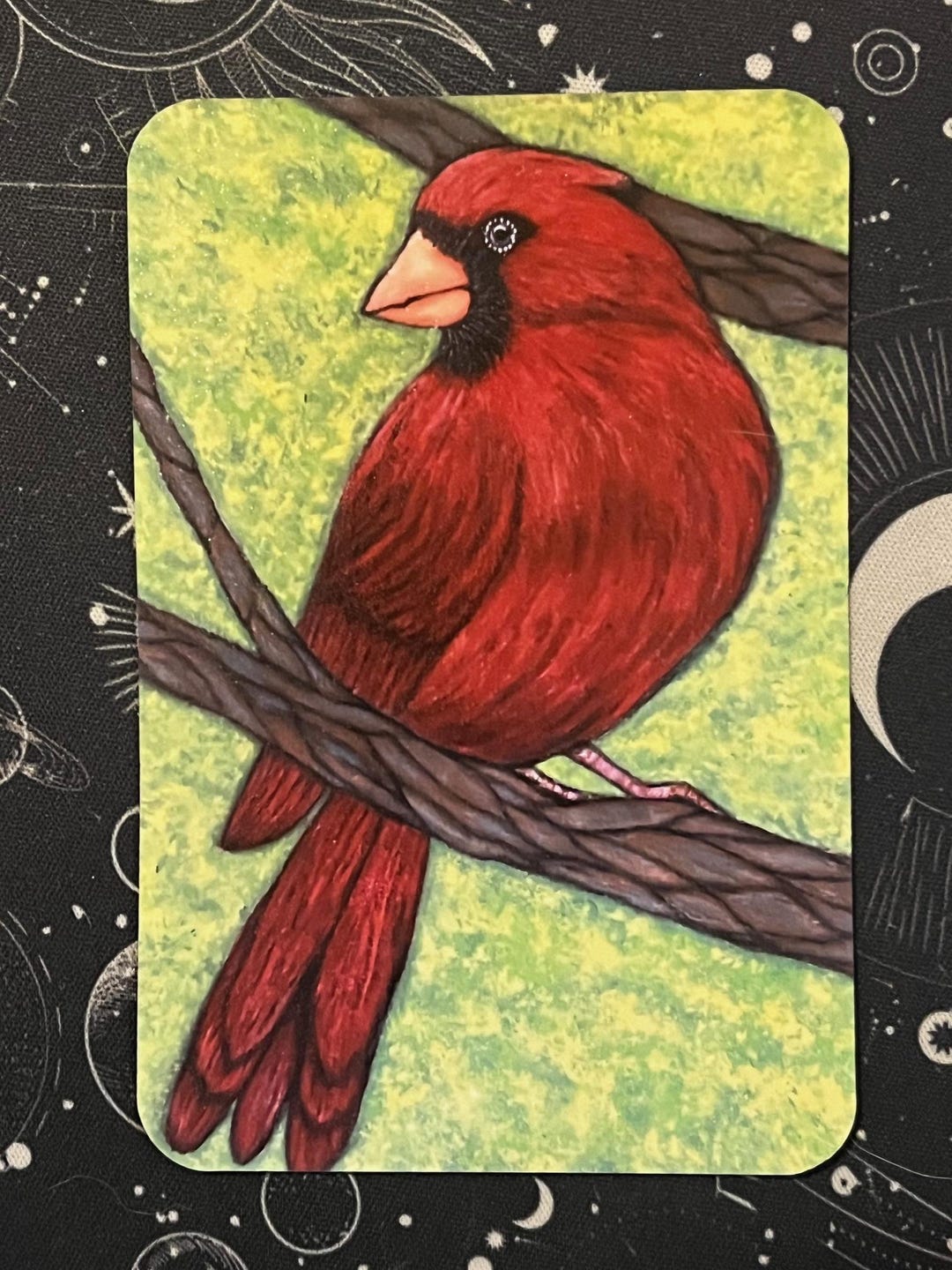 Cardinal Magnet Refrigerator Magnet Bird Lovers - Etsy
