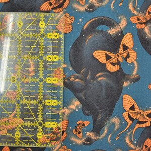 Moth Cat by Rachel Hauer Orange Black Teal Mystic Moonlight Free Spirit ...