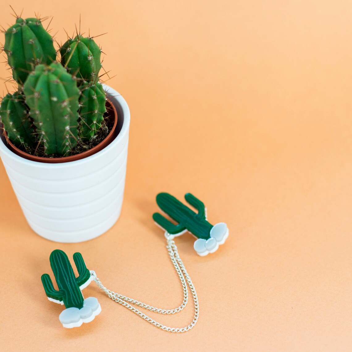 Cactus Collar Clips Western Collar Clips Cactus Gift - Etsy UK
