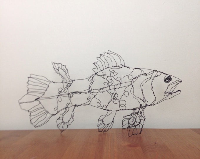Coelacanth Fish Art-wire Drawing Sculpture - Etsy