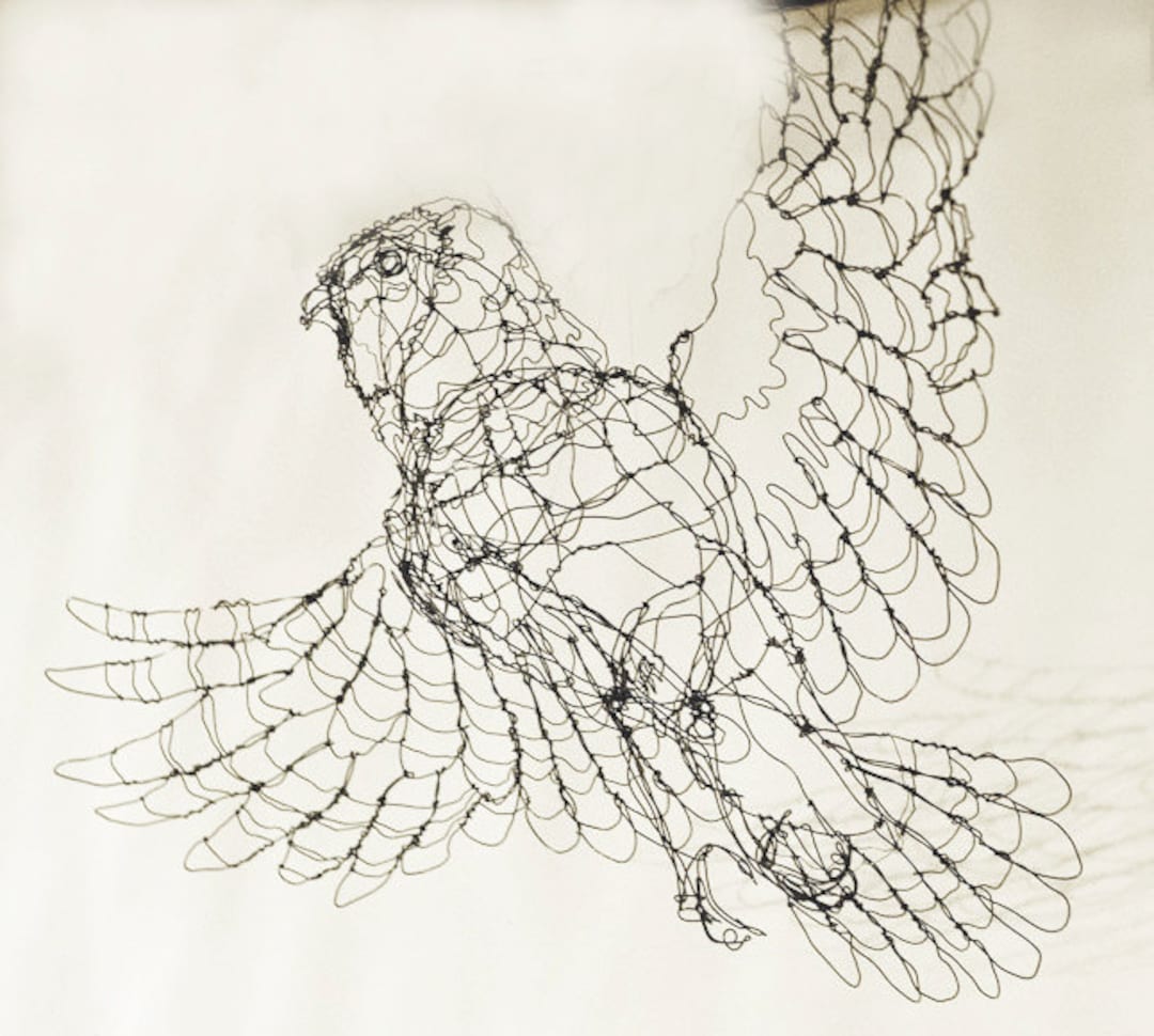 Barred Owl-wire Drawing Sculpture Art - Etsy