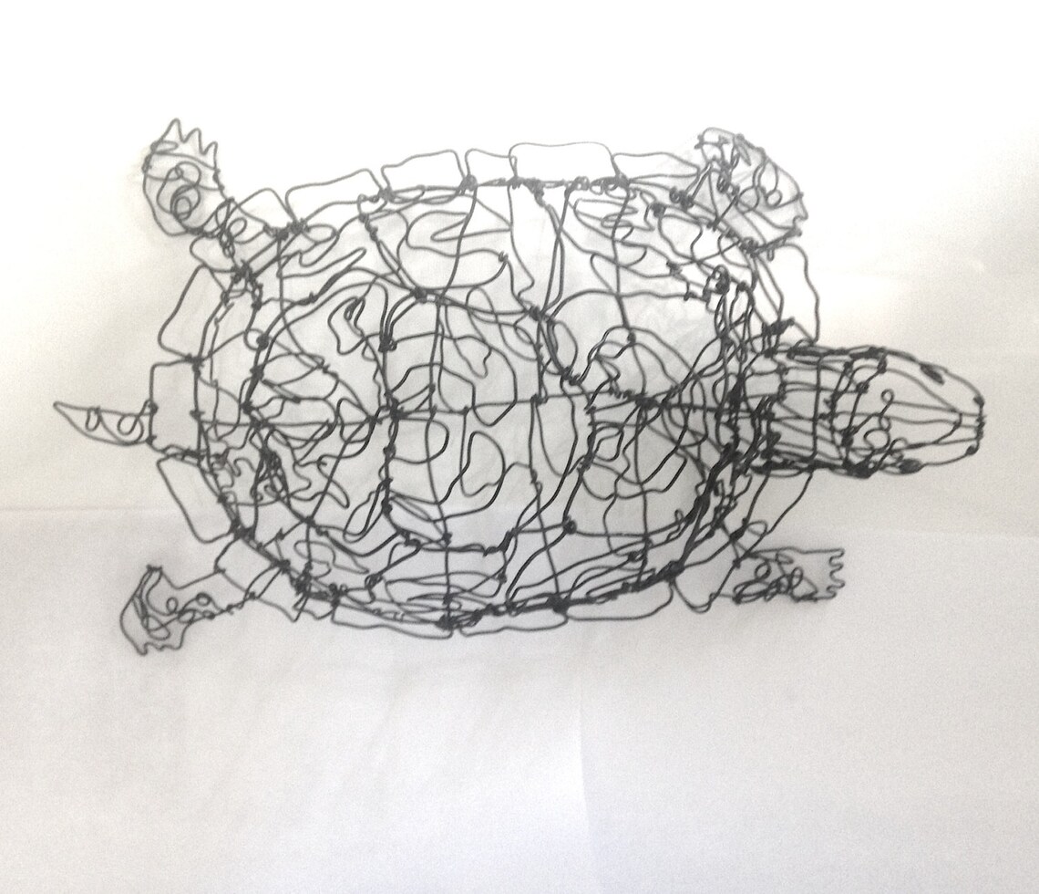 Box Turtle Wire Drawing Sculpture Art - Etsy