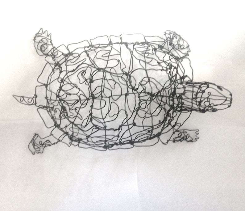 Box Turtle Wire Drawing Sculpture Art - Etsy
