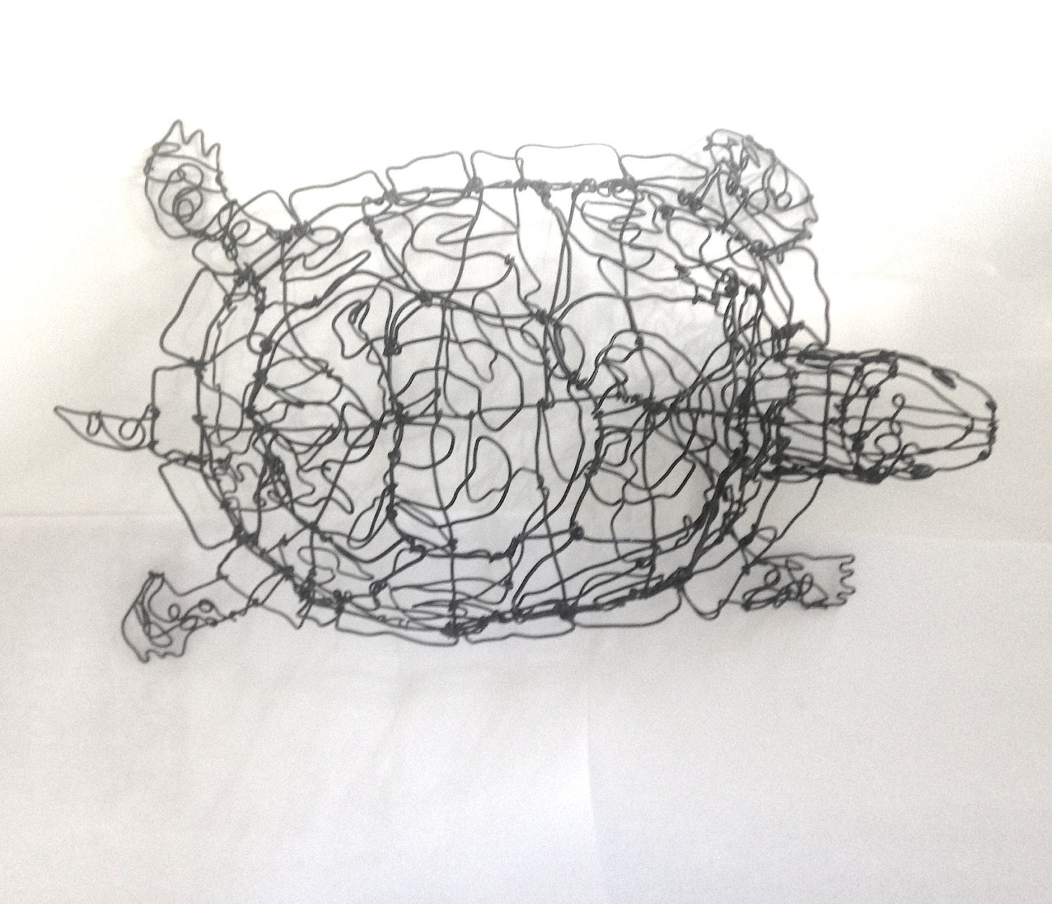 Box Turtle Wire Drawing Sculpture Art - Etsy