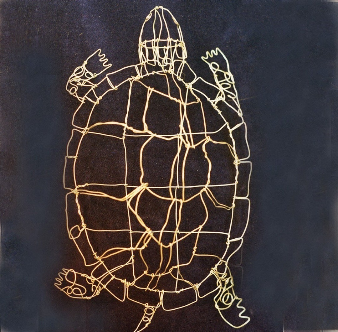 Silver Turtle Wire Drawing Sculpture - Etsy