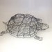 Box Turtle Wire Drawing Sculpture Art - Etsy