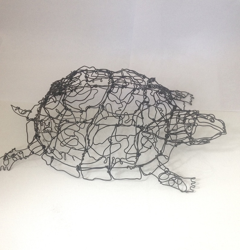 Box Turtle Wire Drawing Sculpture Art - Etsy