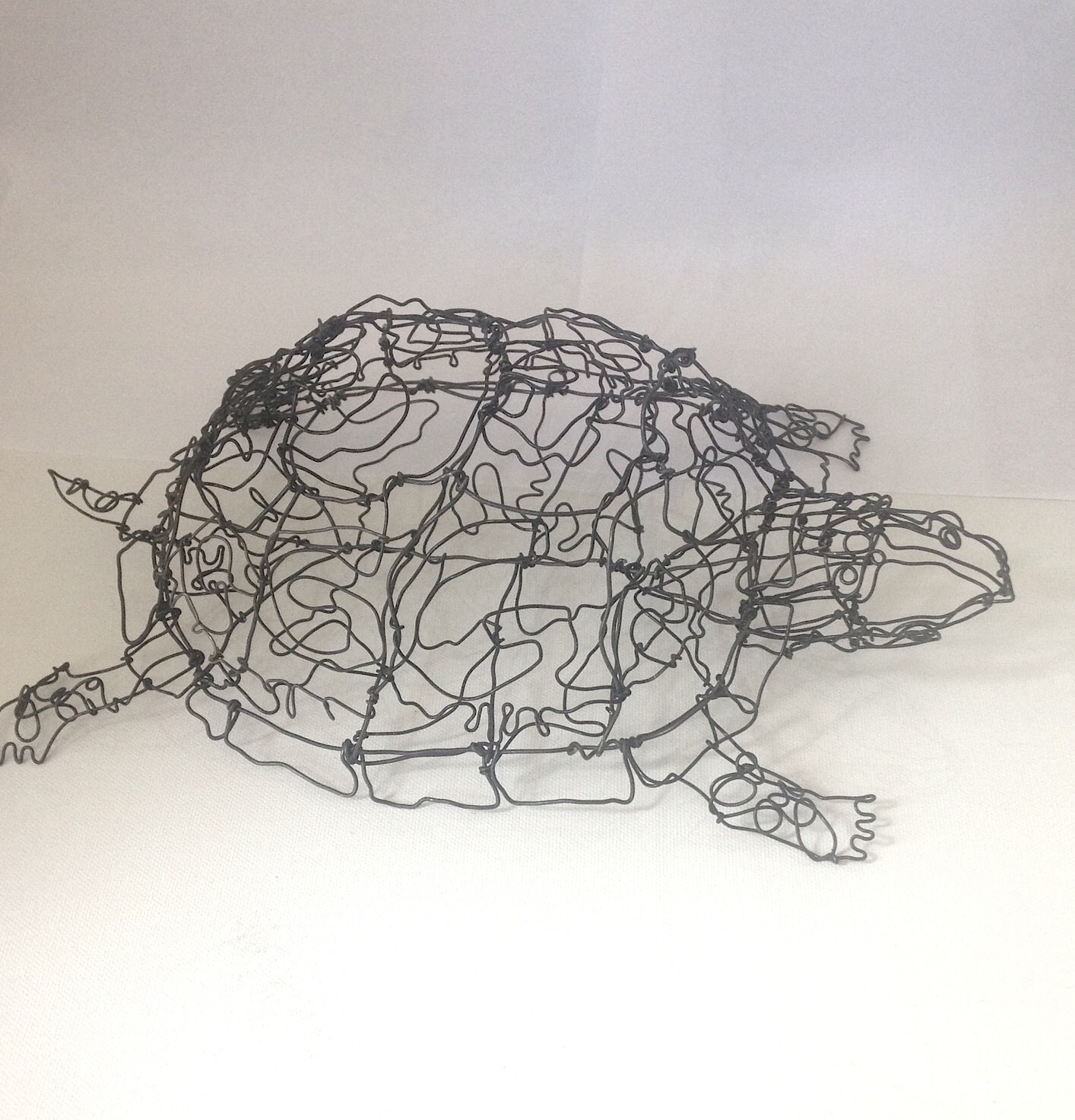 Box Turtle Wire Drawing Sculpture Art - Etsy