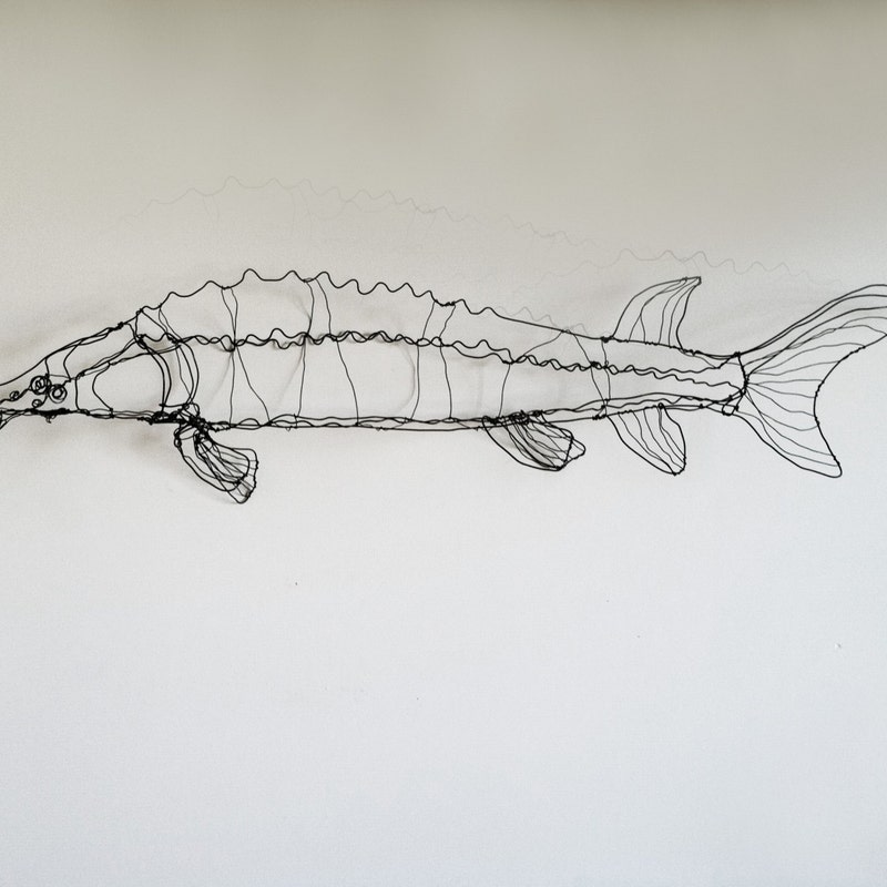 Wire Fish Sculpture - Etsy