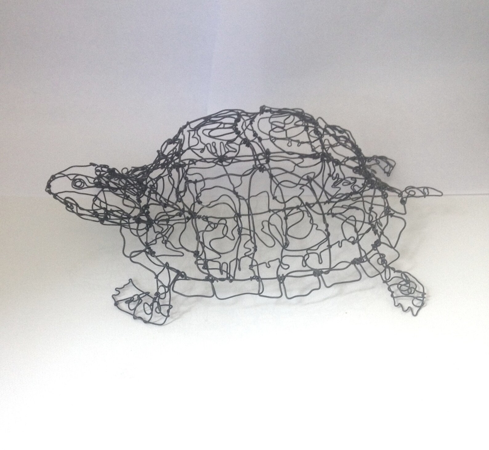 Box Turtle Wire Drawing Sculpture Art - Etsy