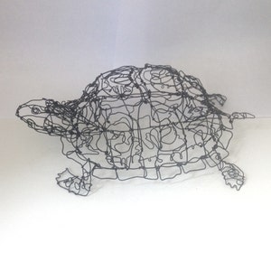 Box Turtle Wire Drawing Sculpture Art - Etsy