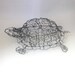 Box Turtle Wire Drawing Sculpture Art - Etsy