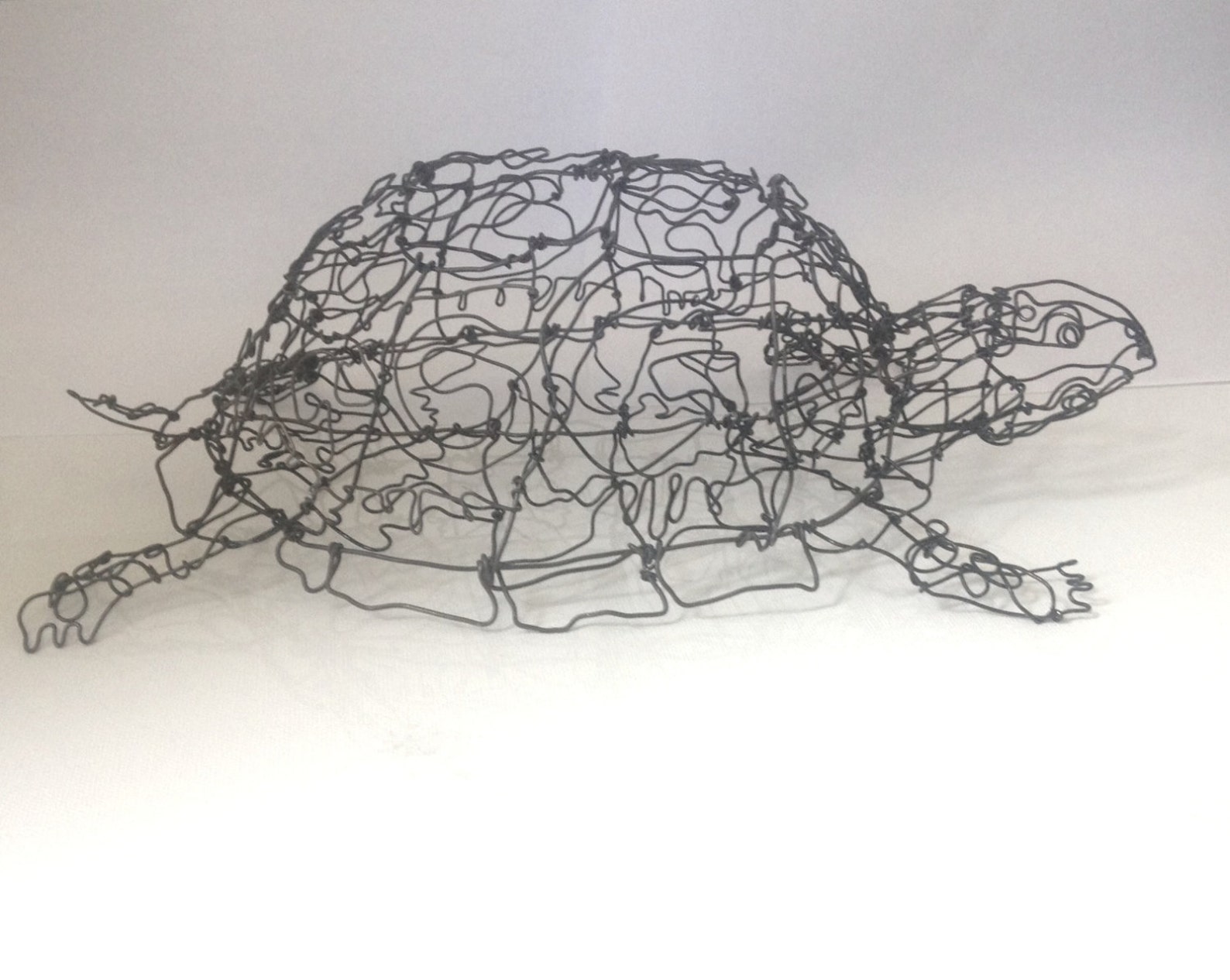 Box Turtle Wire Drawing Sculpture Art - Etsy