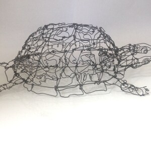 Box Turtle Wire Drawing Sculpture Art - Etsy