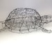 Box Turtle Wire Drawing Sculpture Art - Etsy