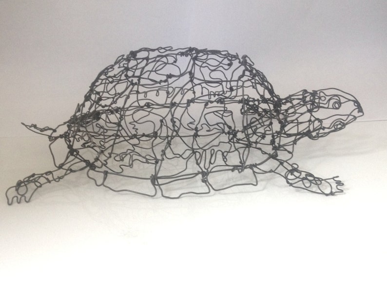 Box Turtle Wire Drawing Sculpture Art - Etsy