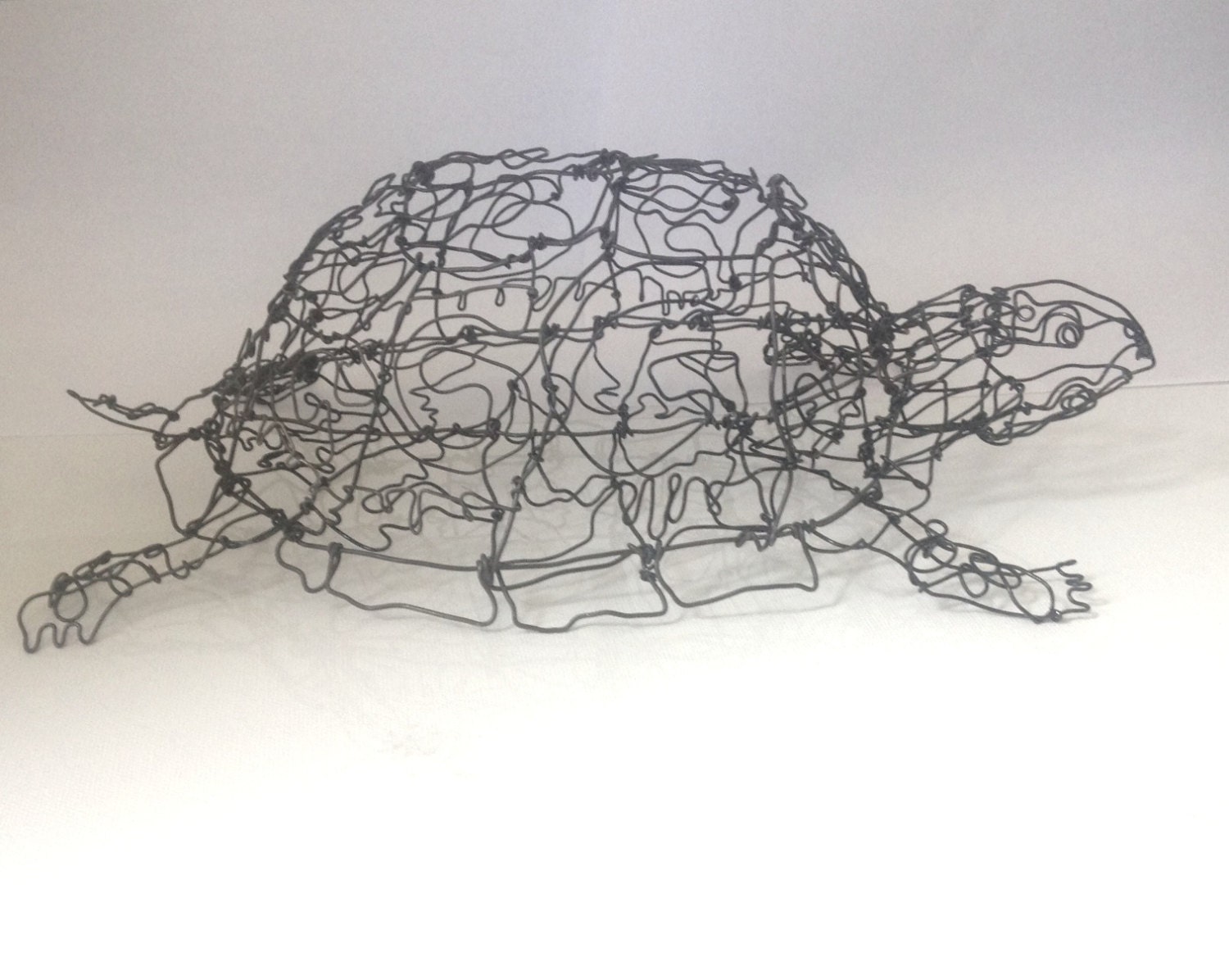 Box Turtle Wire Drawing Sculpture Art - Etsy