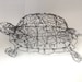 Box Turtle Wire Drawing Sculpture Art - Etsy
