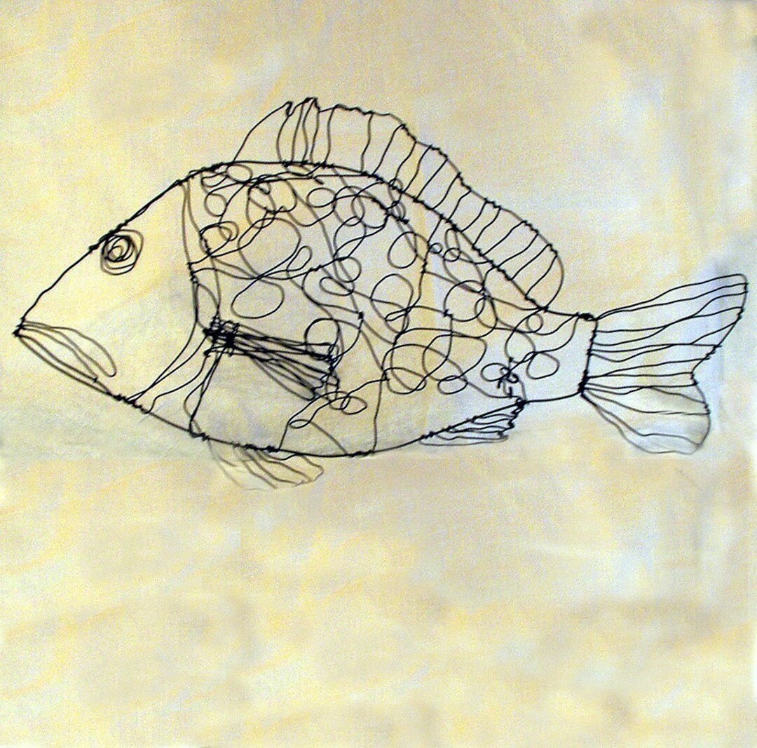 Dotty Fish--wire Drawing Sculpture Art - Etsy