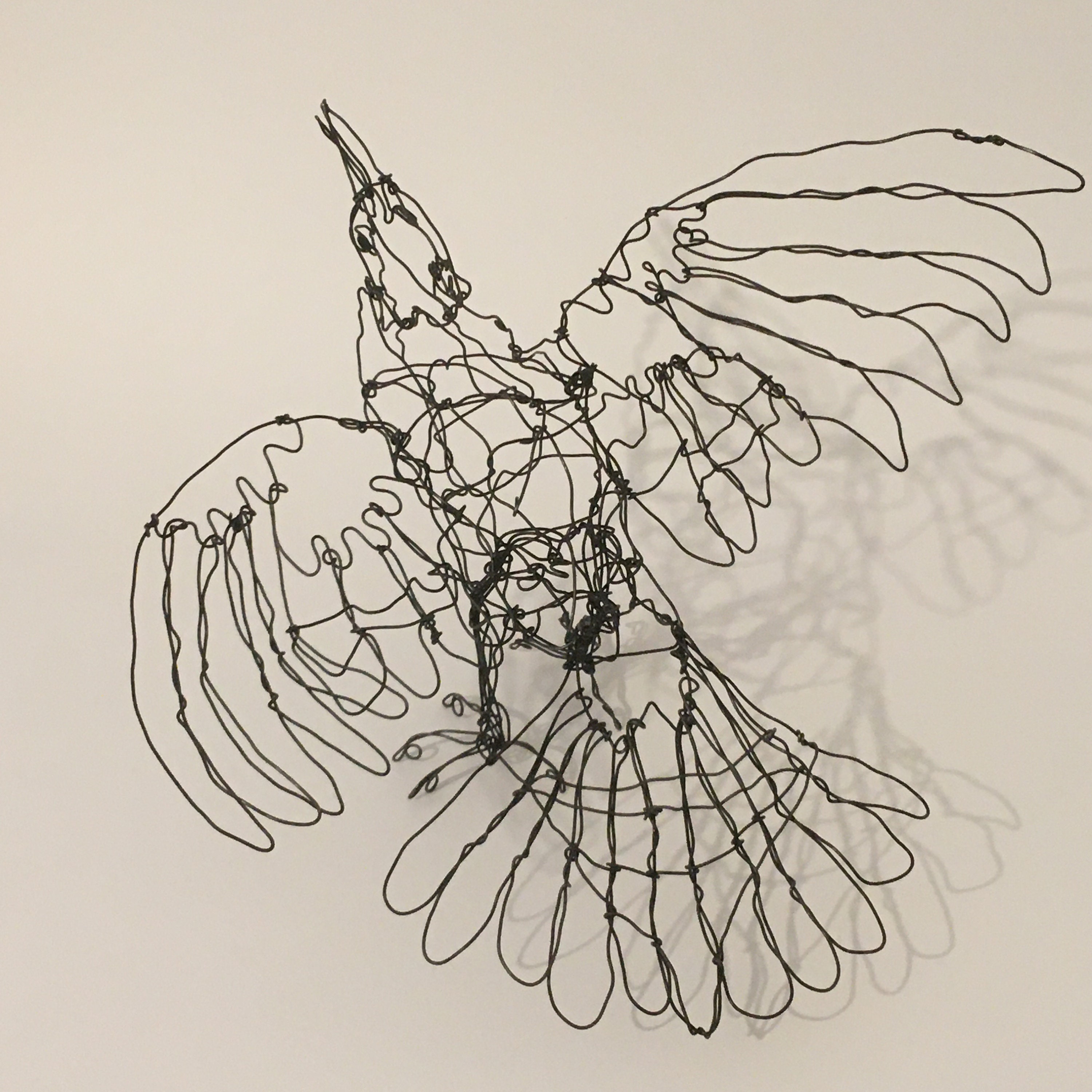 Blue Jay-wire Drawing Sculpture Art - Etsy