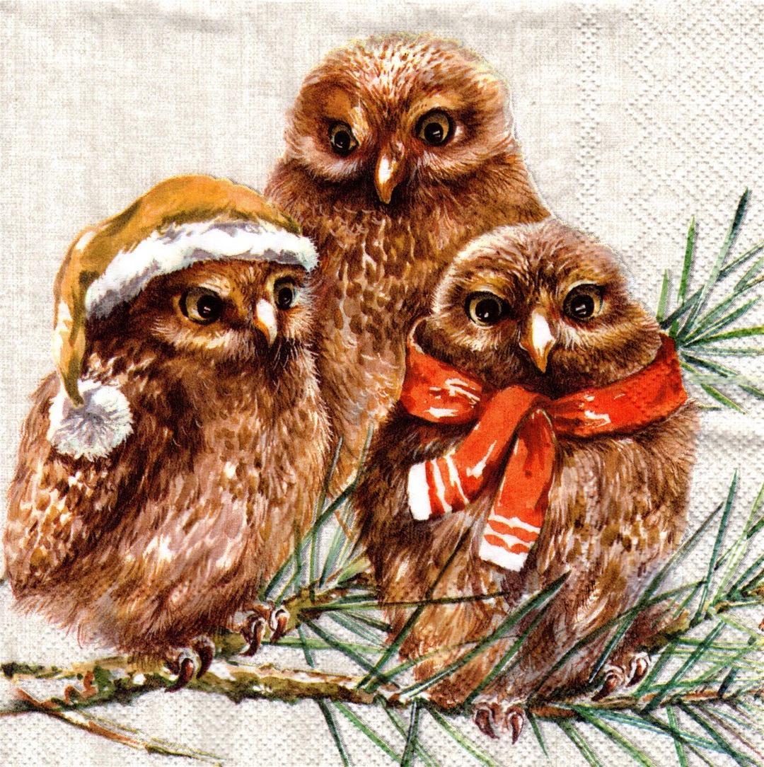 2 (two) Paper Lunch Napkins for Decoupage/mixed Media - Winter Owls ...