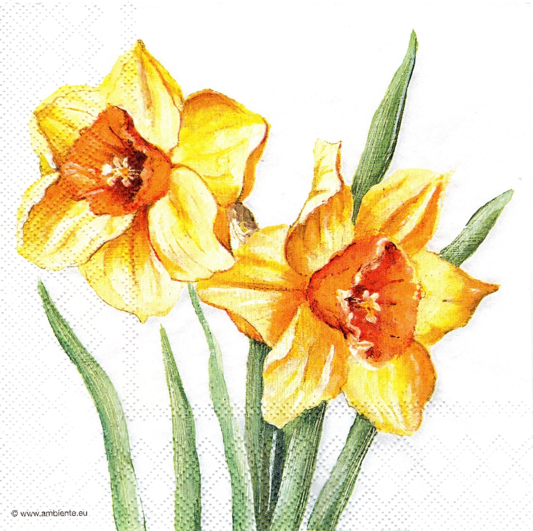 2 (two) Paper Lunch Napkins for Decoupage/mixed Media - Flowering ...