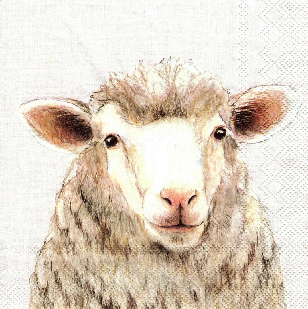 2 (two) Paper Lunch Napkins for Decoupage/mixed Media - Farm Sheep ...