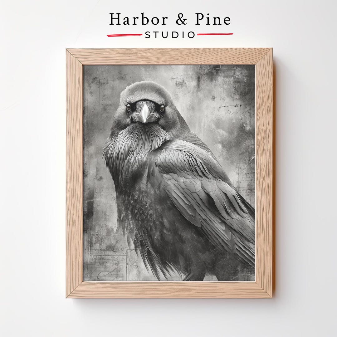 Graphite Raven Portrait Art - Moody Woodland Bird Sketch With Bold ...