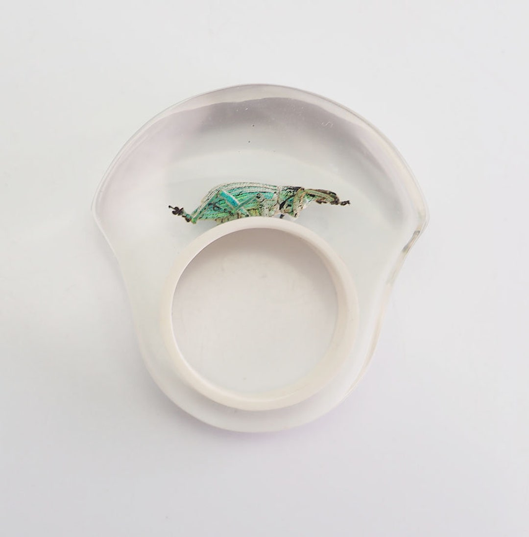 Gorgeous White Lucite Ring With Real Iridescent Insect - Etsy