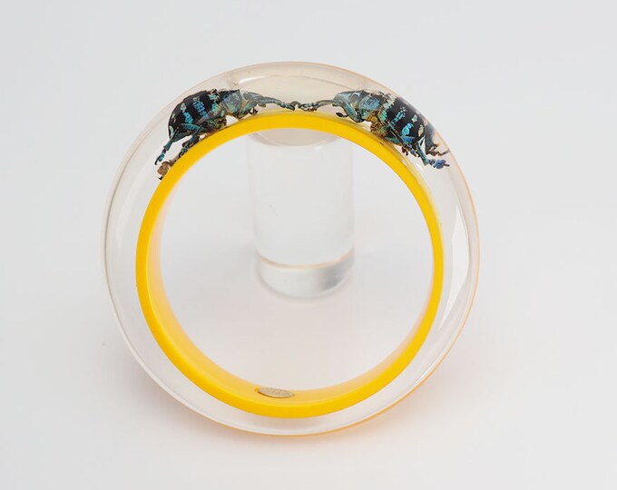 Fun Yellow Lucite Bracelet With Two Real Insects - Etsy