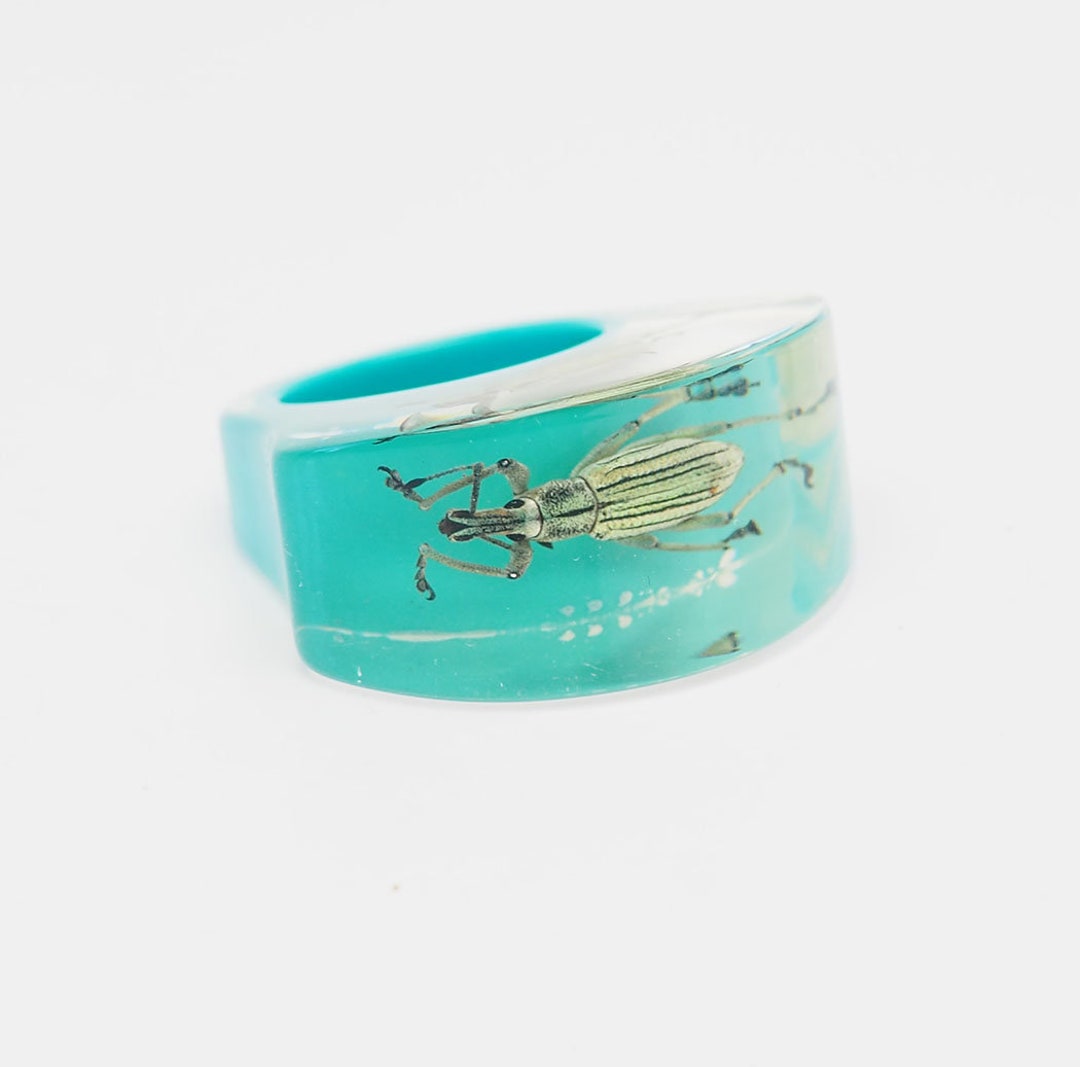 Chunky Light Blue Lucite Ring With Real Insect - Etsy